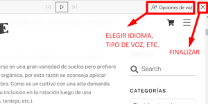 Cómo usar el lector de voz en Microsoft Edge - Mayores Conectados