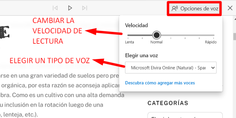 Cómo usar el lector de voz en Microsoft Edge - Mayores Conectados