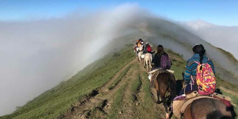 Proyecto Atención Primaria de la Salud Digital - Molulo, Jujuy